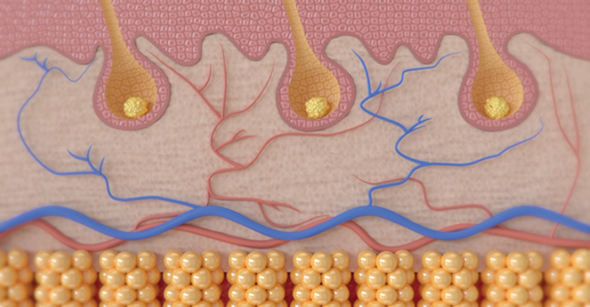 PlaDuo Dual Plasma System | ACRE Pharmacy